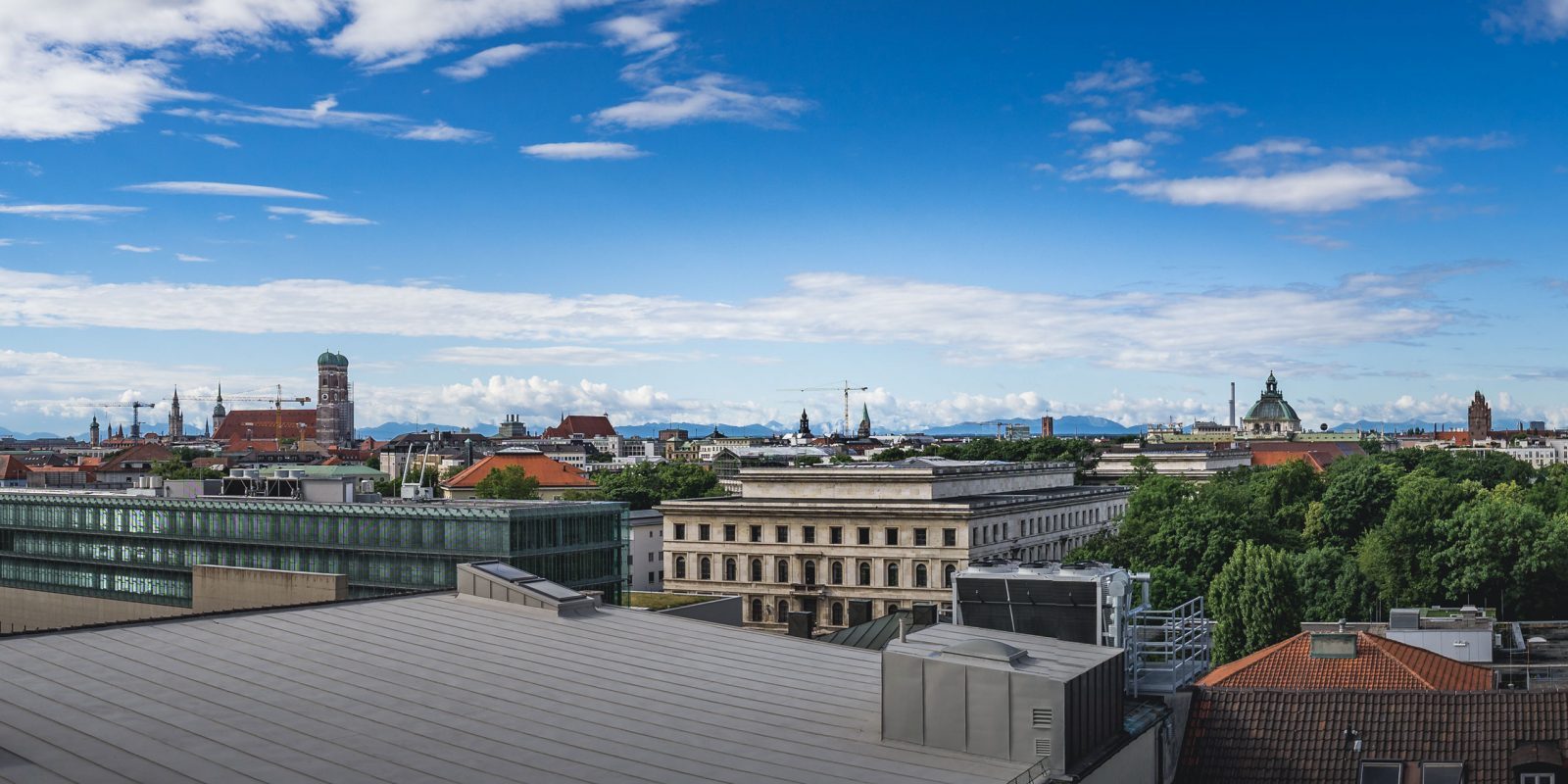 Management Board - Formycon AG